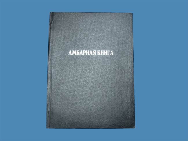 Амбарная книга образец