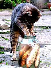 1860165 gif 1860021 jpg 1860167 jpg 1860023 jpg 1860169 jpg