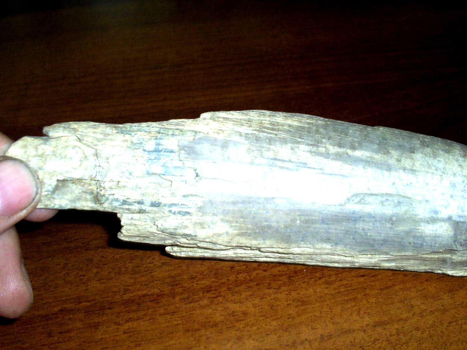 3239080 jpg 3239213 jpg 3239082 jpg 3239215 jpg 3239084 jpg