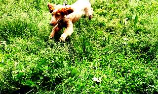 3522226 jpg 3522085 jpg 3522229 jpg 3522087 jpg 3522230 jpg