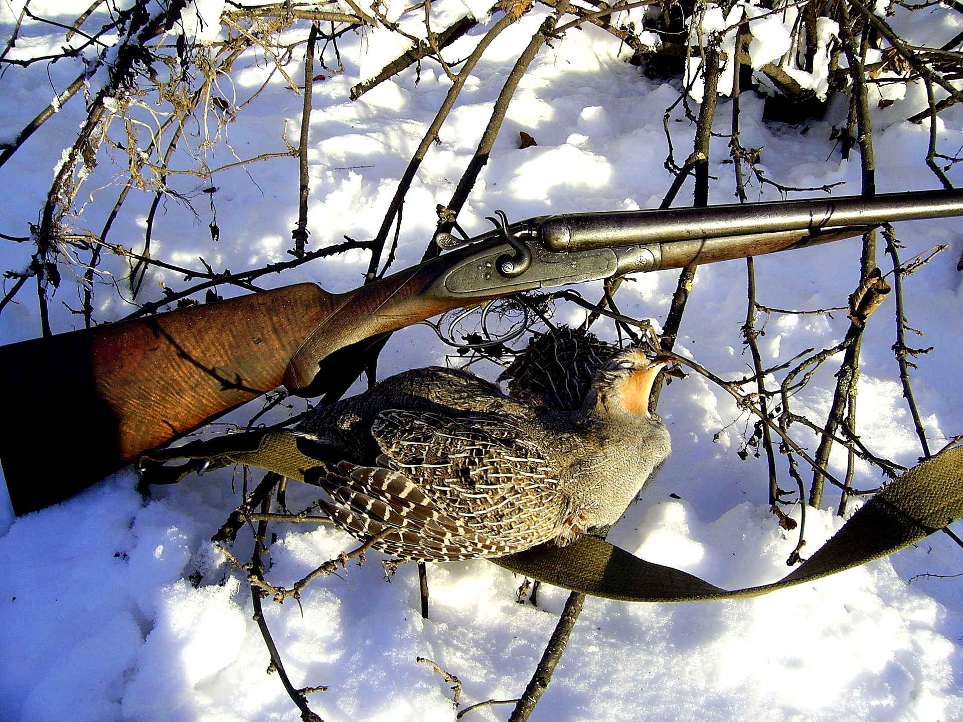 3680229 jpg 3680088 jpg 3680230 jpg 3680090 jpg 3680232 jpg